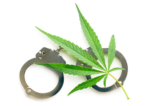Can a Police Officer Detain You Based on the "Smell" of Marijuana?